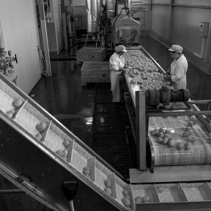 Portfolio - Cleon Capital