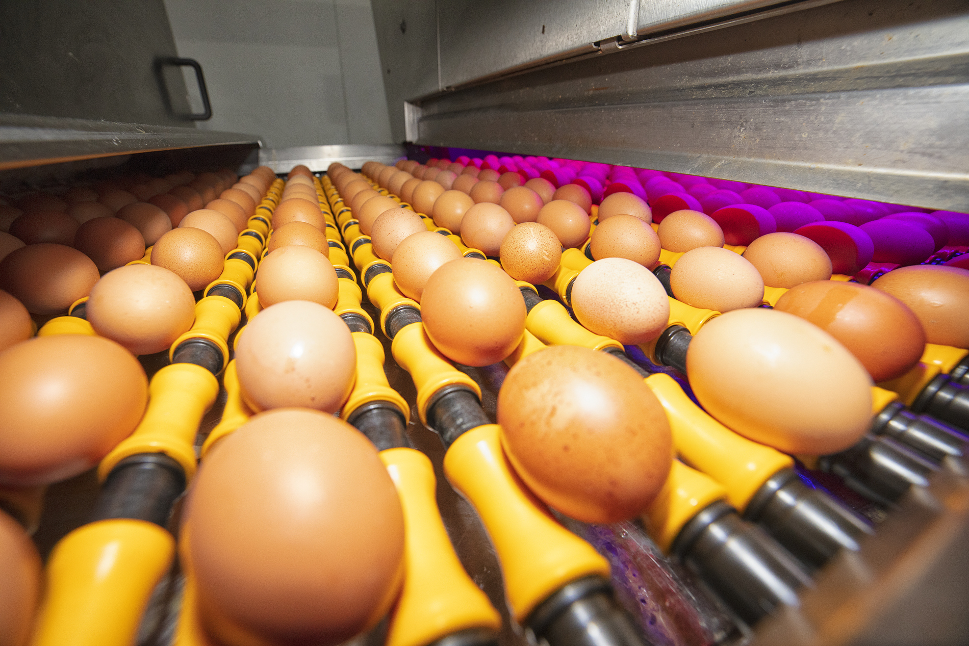 Hevo Group doblará el ritmo de inversiones en 2024, tras superar las previsiones de cierre del ...